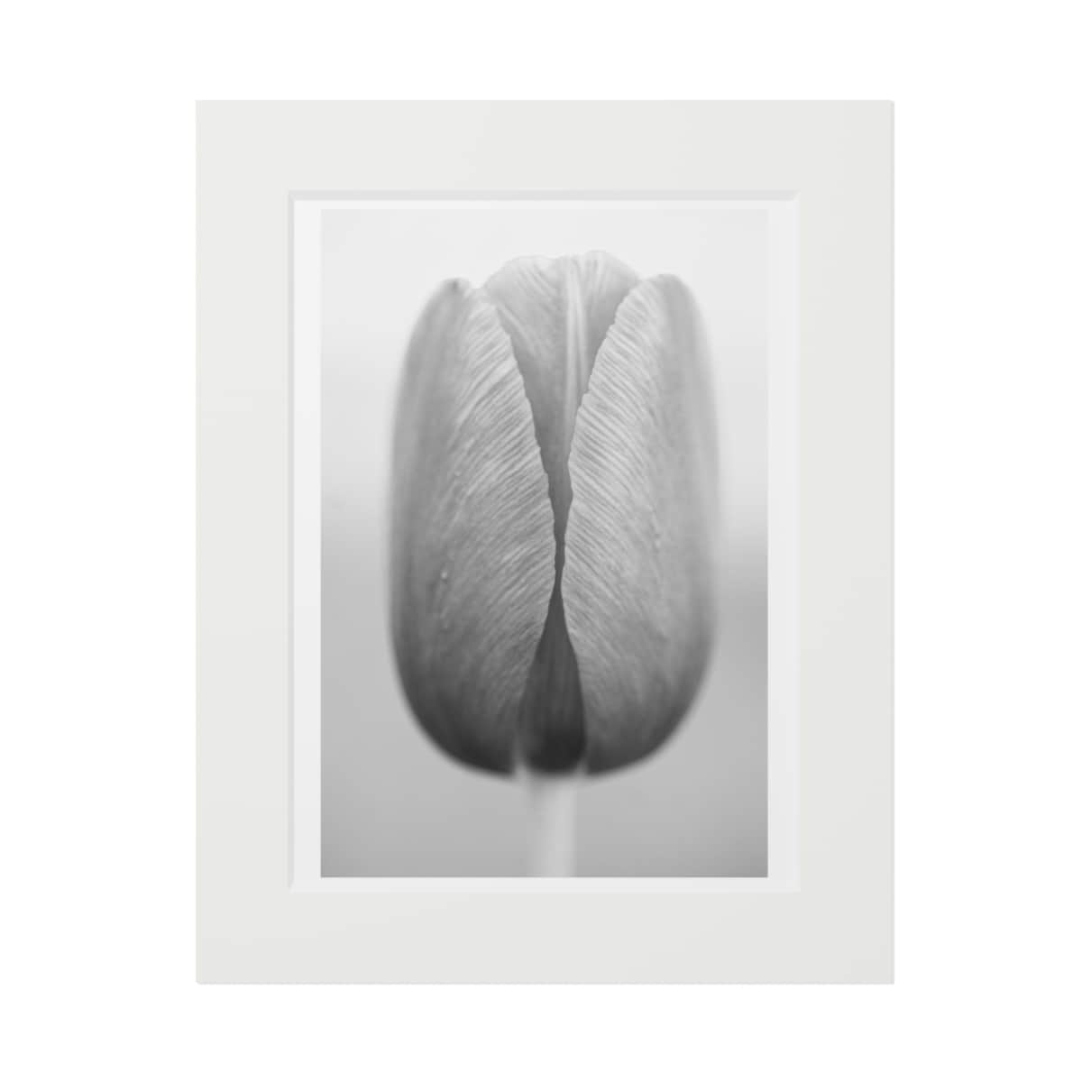 The Ghost Fine Art Prints (Passepartout Paper Frame) - NFT Art with ...